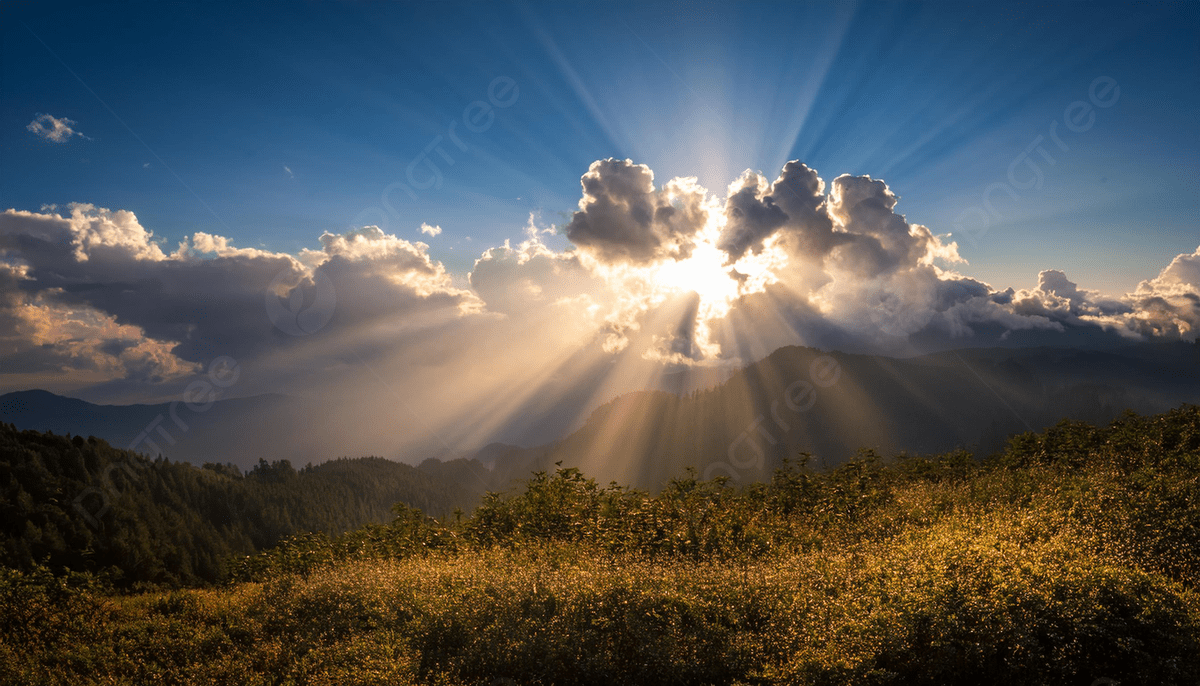 Weathering the Storm — Guided Reset – LUV Solutions